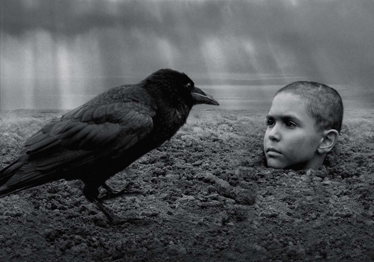 BLACK MOVIE 2020 : The Painted Bird – bichromie de l’horreur – Film ...